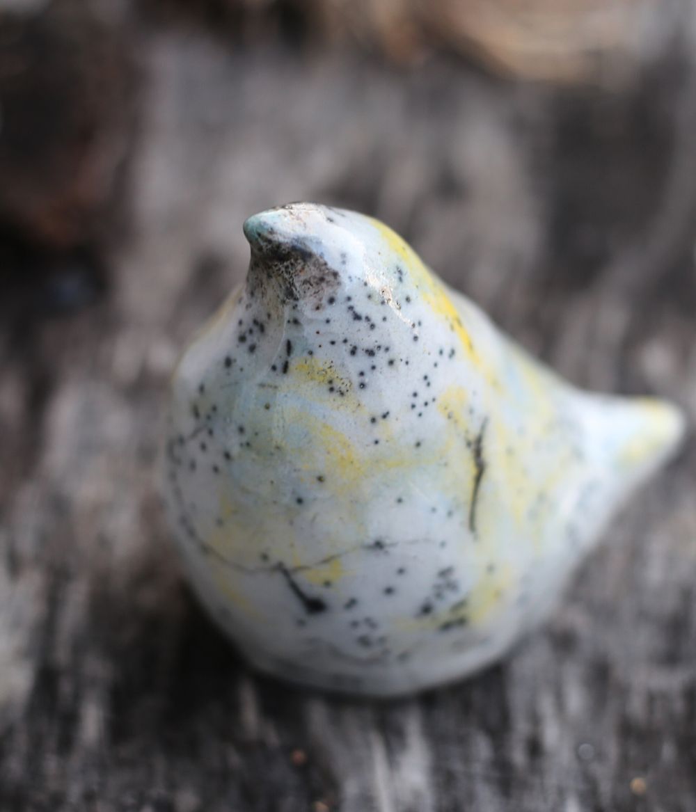 Foreword to the Fourth Solo Exhibition - Art Studio Laura Rainbow